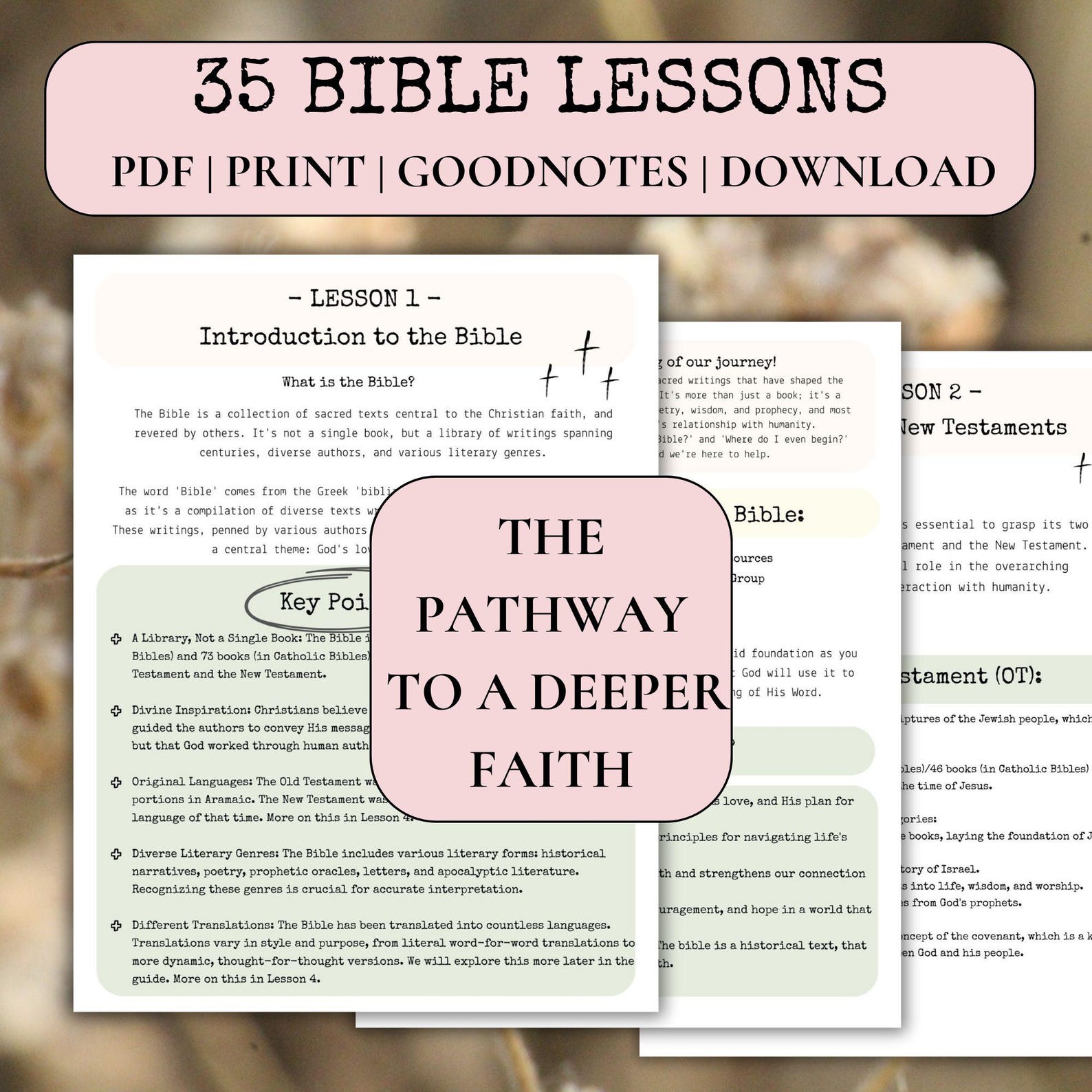 Bible Made Simple Beginner Bible Study Printable Bible Guide Template ...