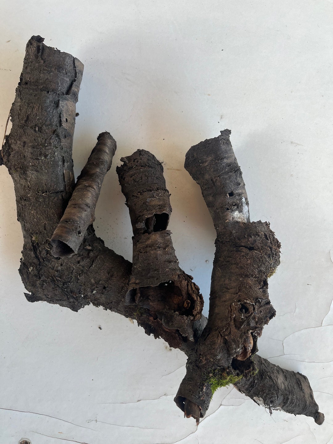 Dried Cherry Bark, Wood Décor - Etsy
