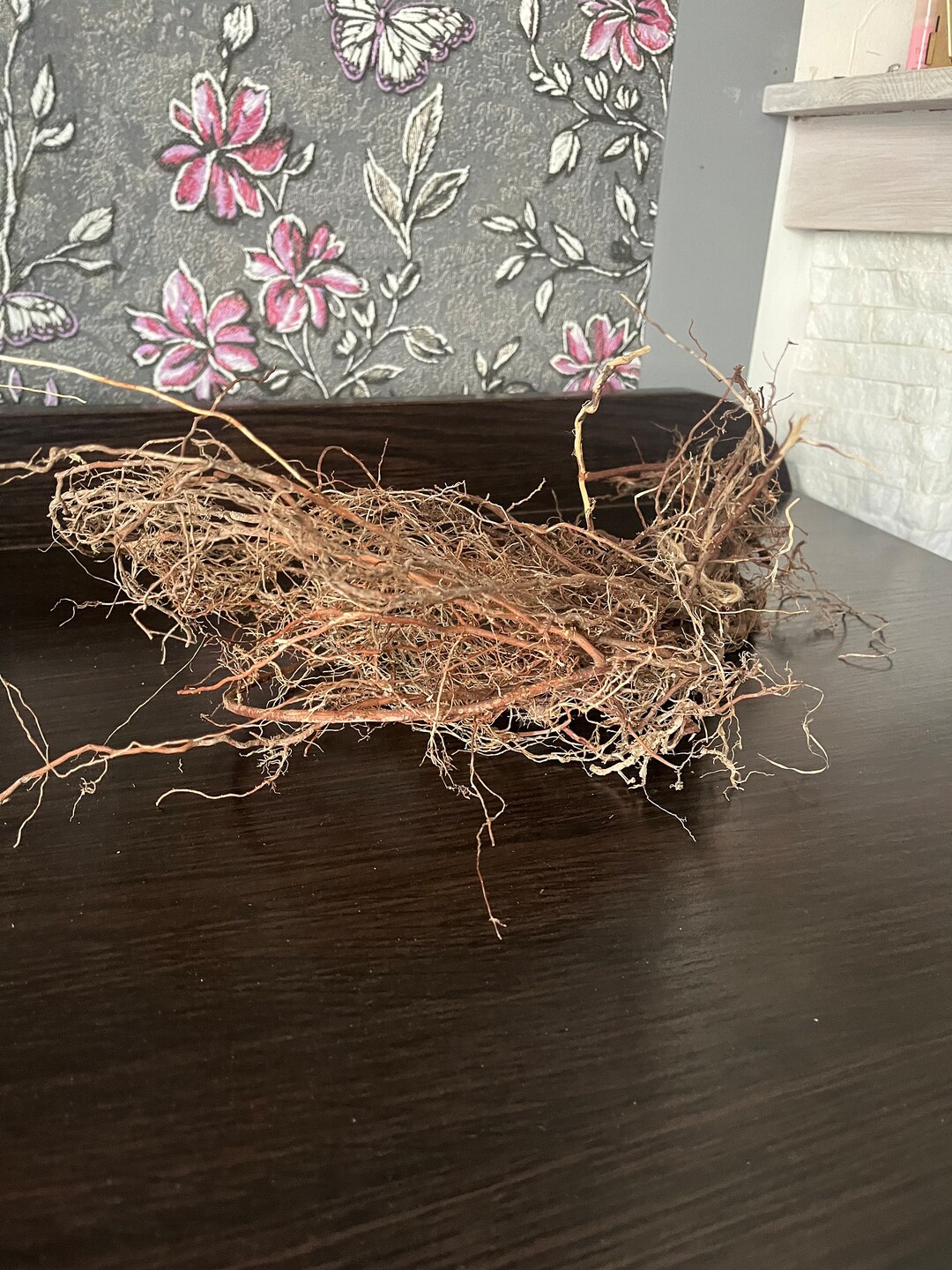 Wood Decor Micro Root, Small Tree Roots, Washed With Water, for Filling ...