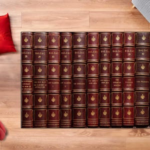 Shakespeare's Works,balzac,victor Hug,stacked Books Rug,library Rug ...