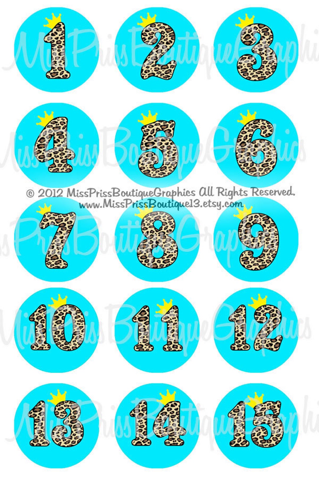 4x6 - CHEETAH BIRTHDAY NUMBERS- Instant Download -turquoise Blue ...