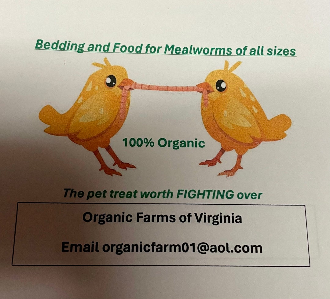 3 Lbs Meal Worm Food and Substrate, Medium Ground Grains, Oats 12.00 - Etsy