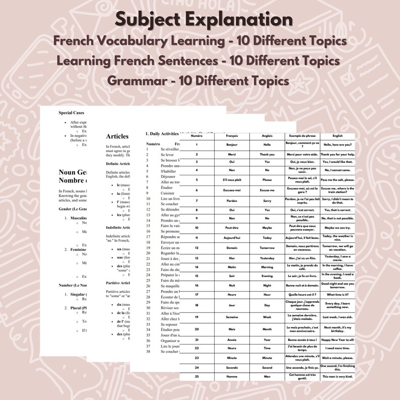 French Subject Explanation Guide 250 Words and Sentences 10 Grammar ...