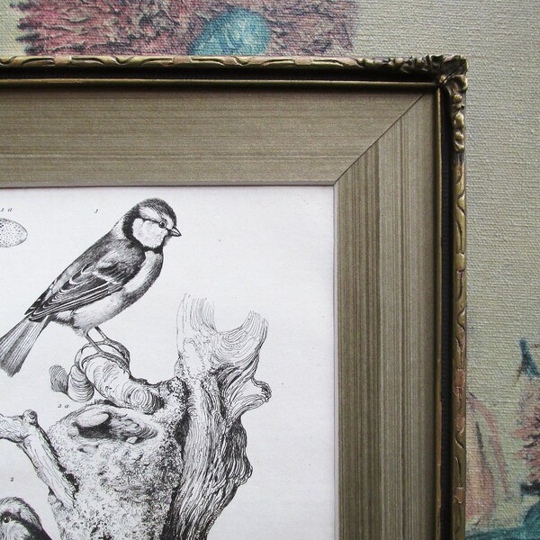 Bird Engraving - Etsy
