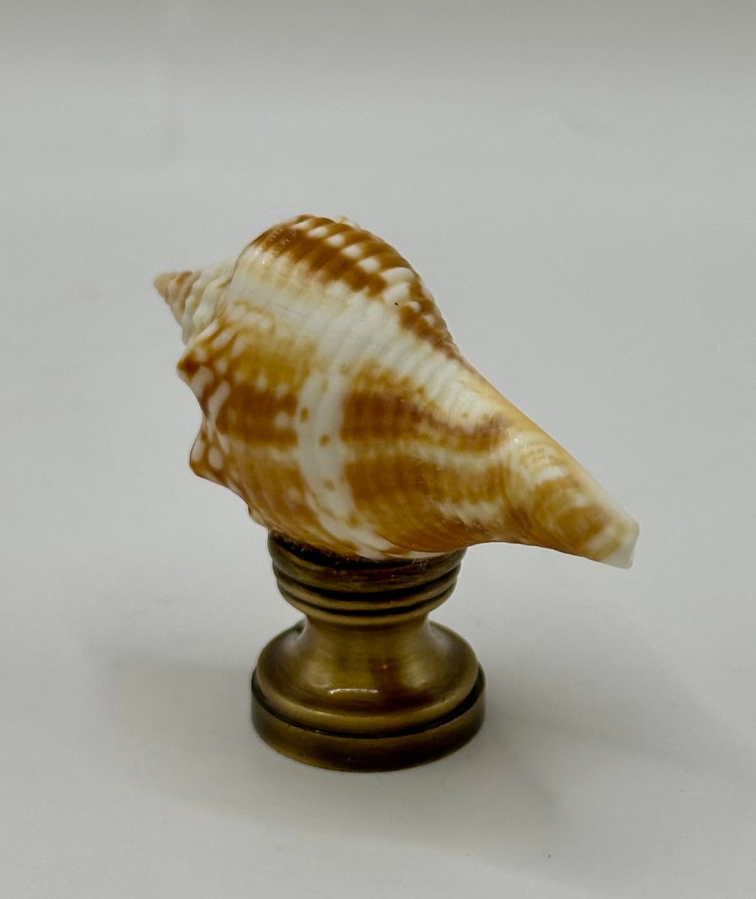 Sea Shell Finial - Etsy