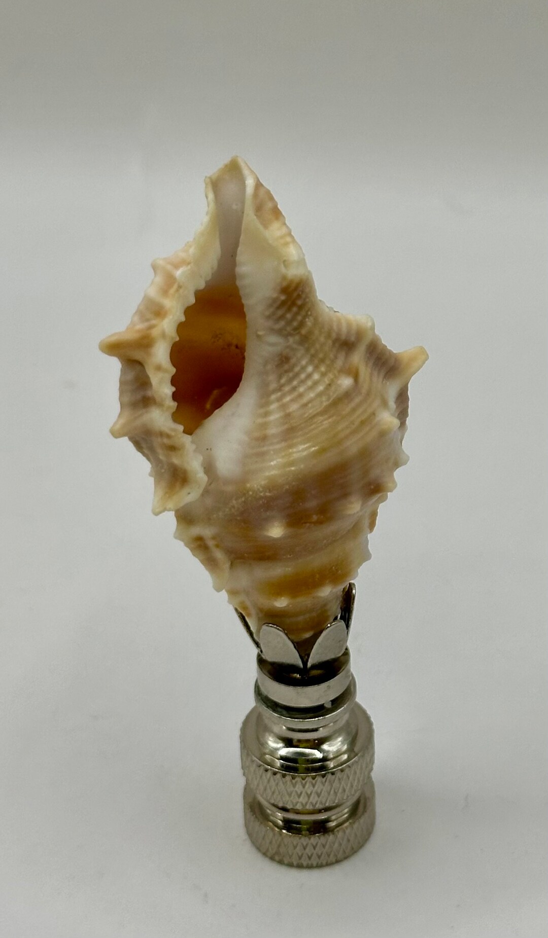 Sea Shell Finial Conch - Etsy