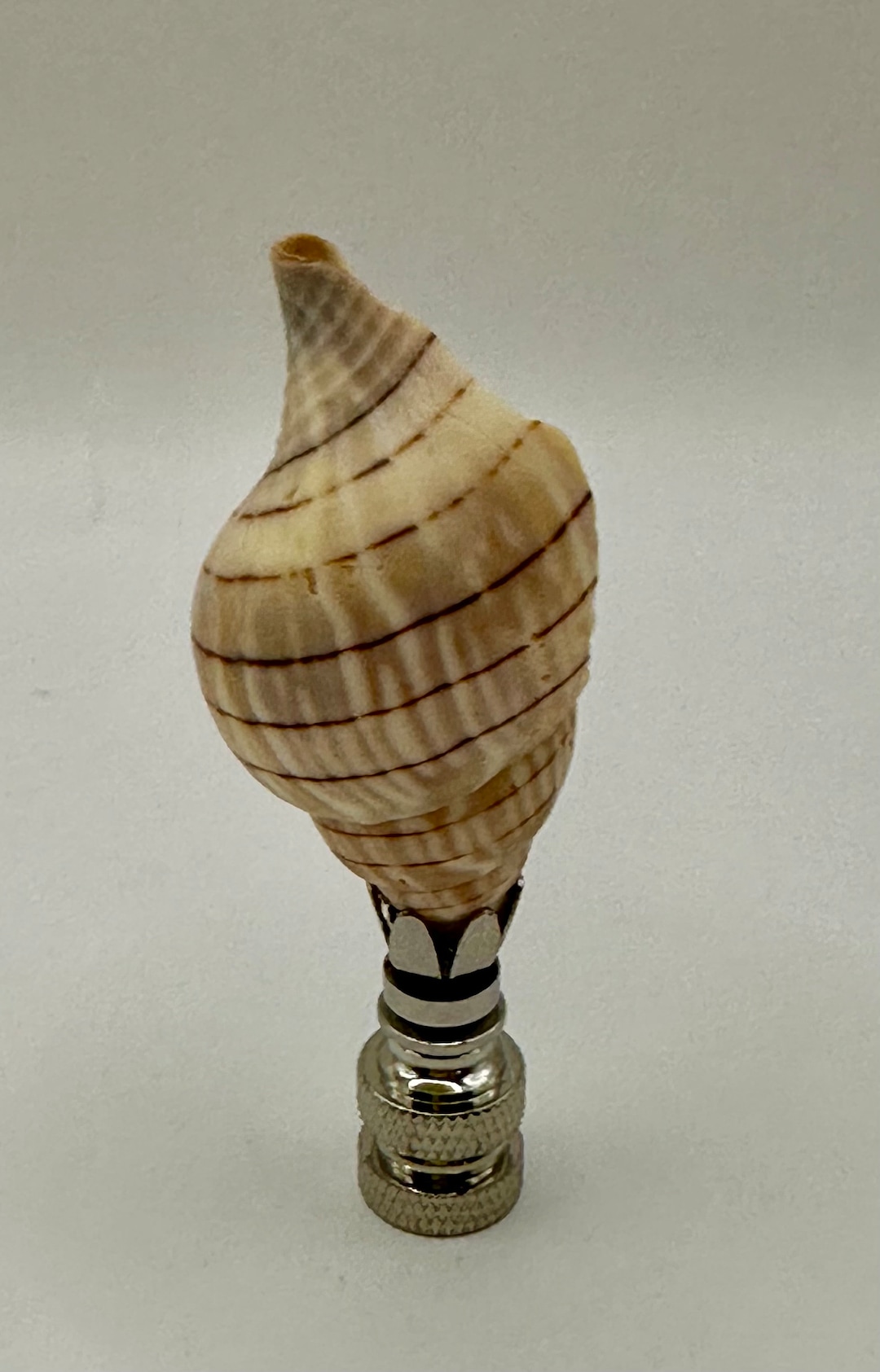 Sea Shell Finial Conch - Etsy