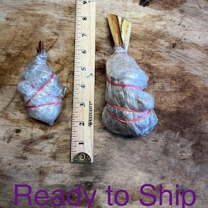 Iris Ensata 'hatsu Kagami' | Pink Japanese Water Iris | Elegant Summer ...