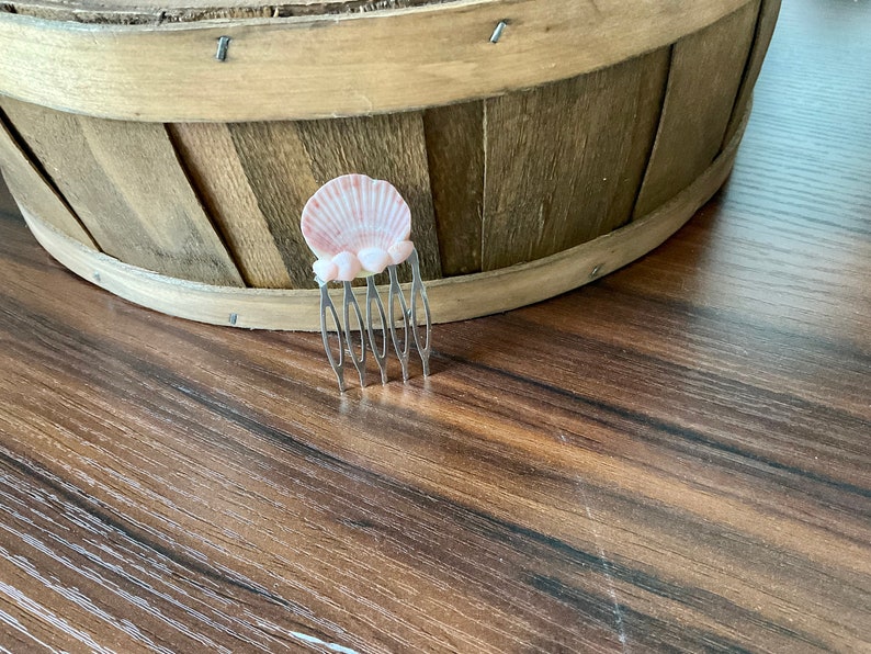 Mini Seashell Hair Combs assorted Natural, Sustainable, Handmade ...