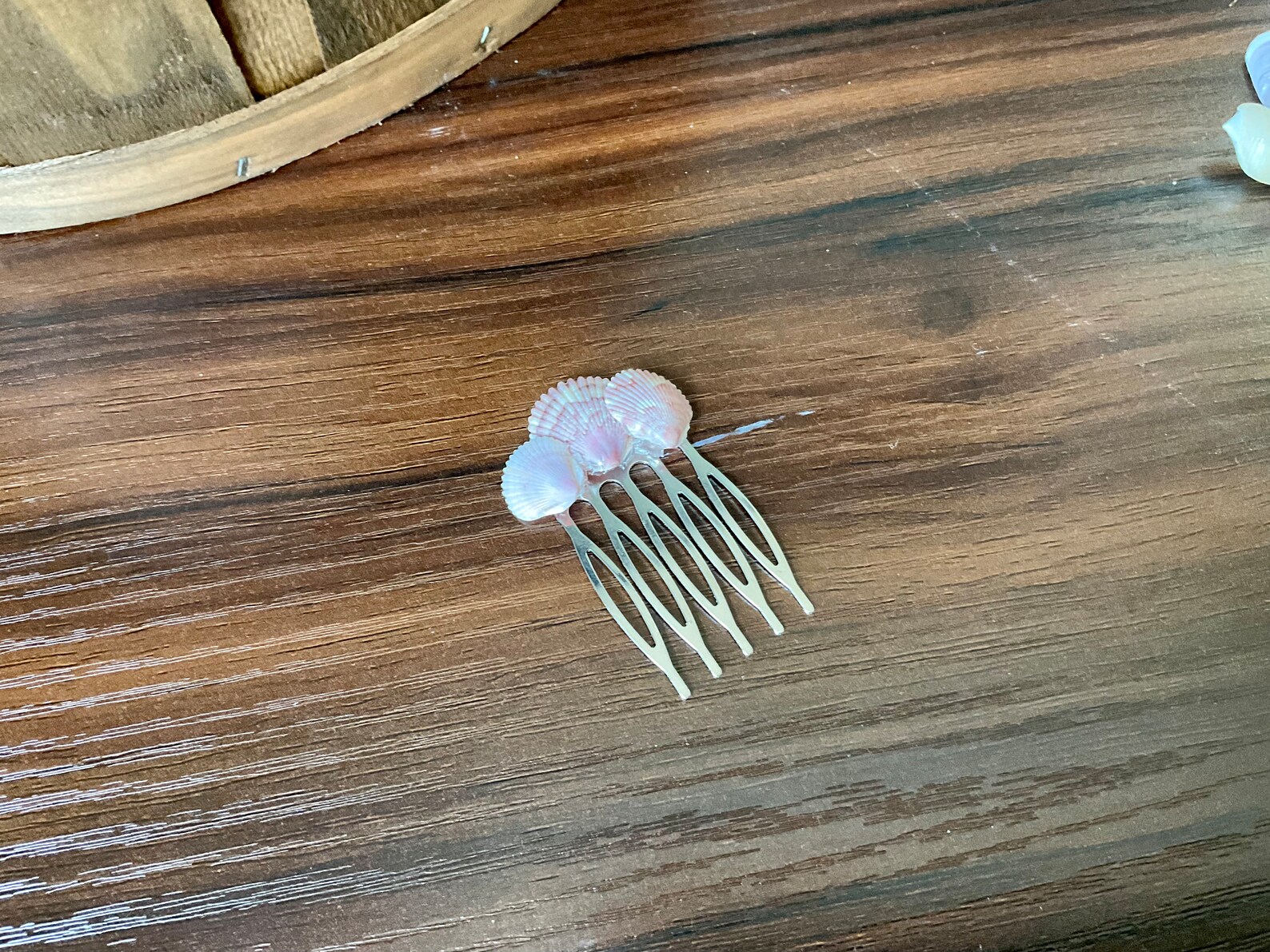 Mini Seashell Hair Combs assorted Natural, Sustainable, Handmade ...