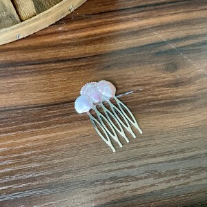Mini Seashell Hair Combs assorted Natural, Sustainable, Handmade ...