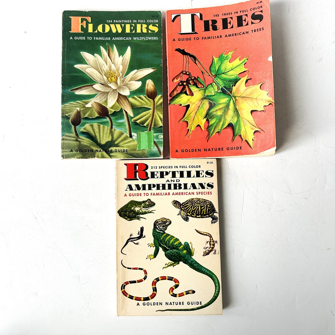 Vintage Golden Nature Guides, Flowers, Trees, Reptiles and Amphibians ...