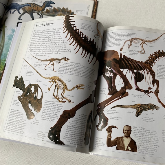 The Complete Guide To Prehistoric Life