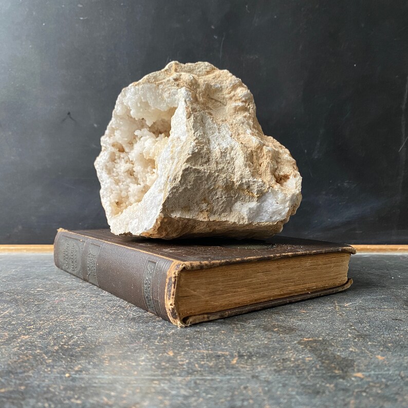 Large Vintage Creamy Beige Geode Specimen Natural History - Etsy