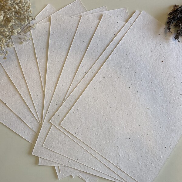 Seed Paper - Etsy