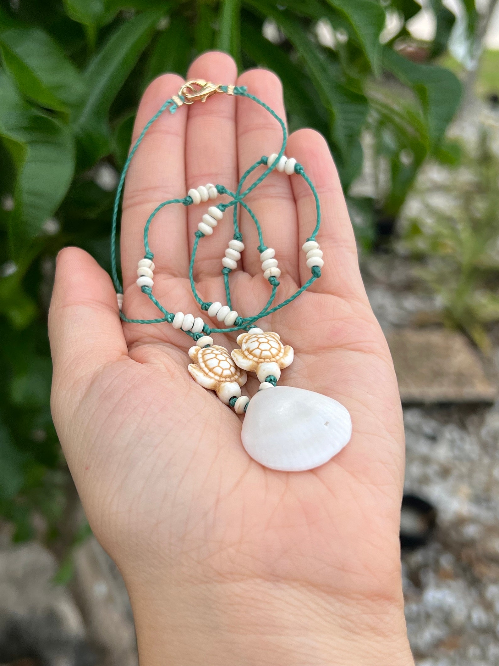 Real Shell Turtle Seanecklace - Etsy