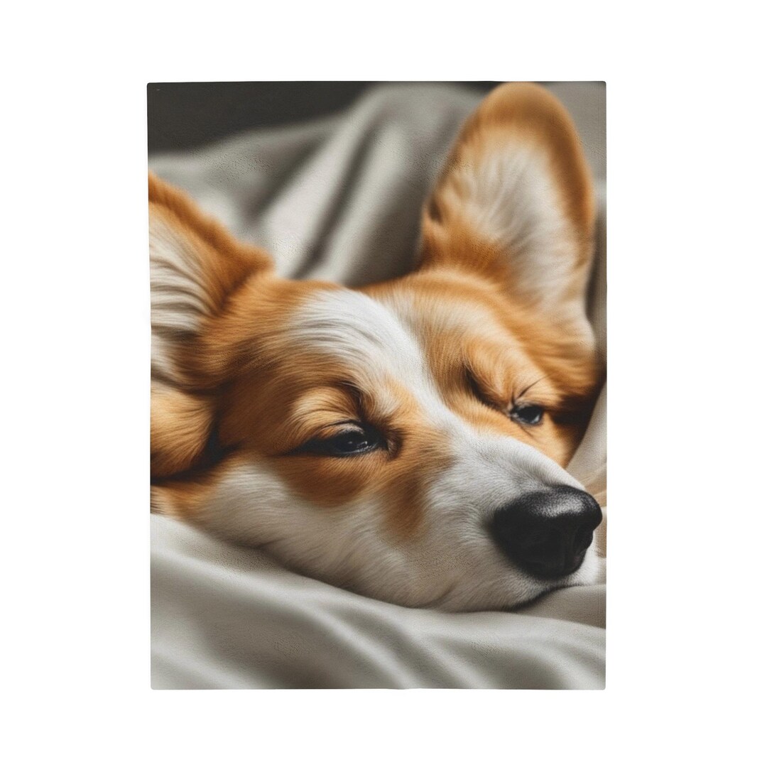 Corgi Dog Blanket. Corgi Mom and Dad. Corgi Dog Owner. Dog Lover Home ...