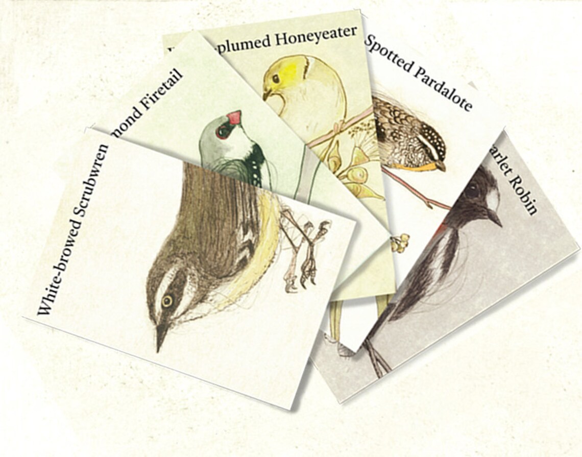 THE BUSH BIRDS Australian Birds Card Game by Printmaker Artist Bridget ...