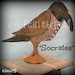 Socrates the Primitive Raven E-pattern - Etsy