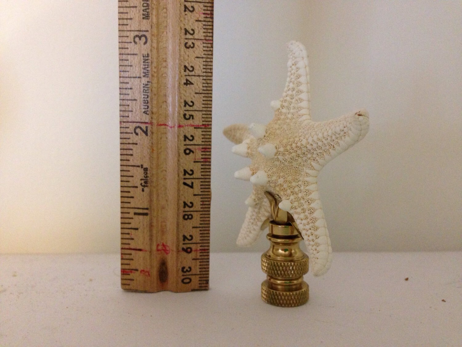 Knobby Starfish Lamp Finial Finial Lamp Topper Starfish | Etsy