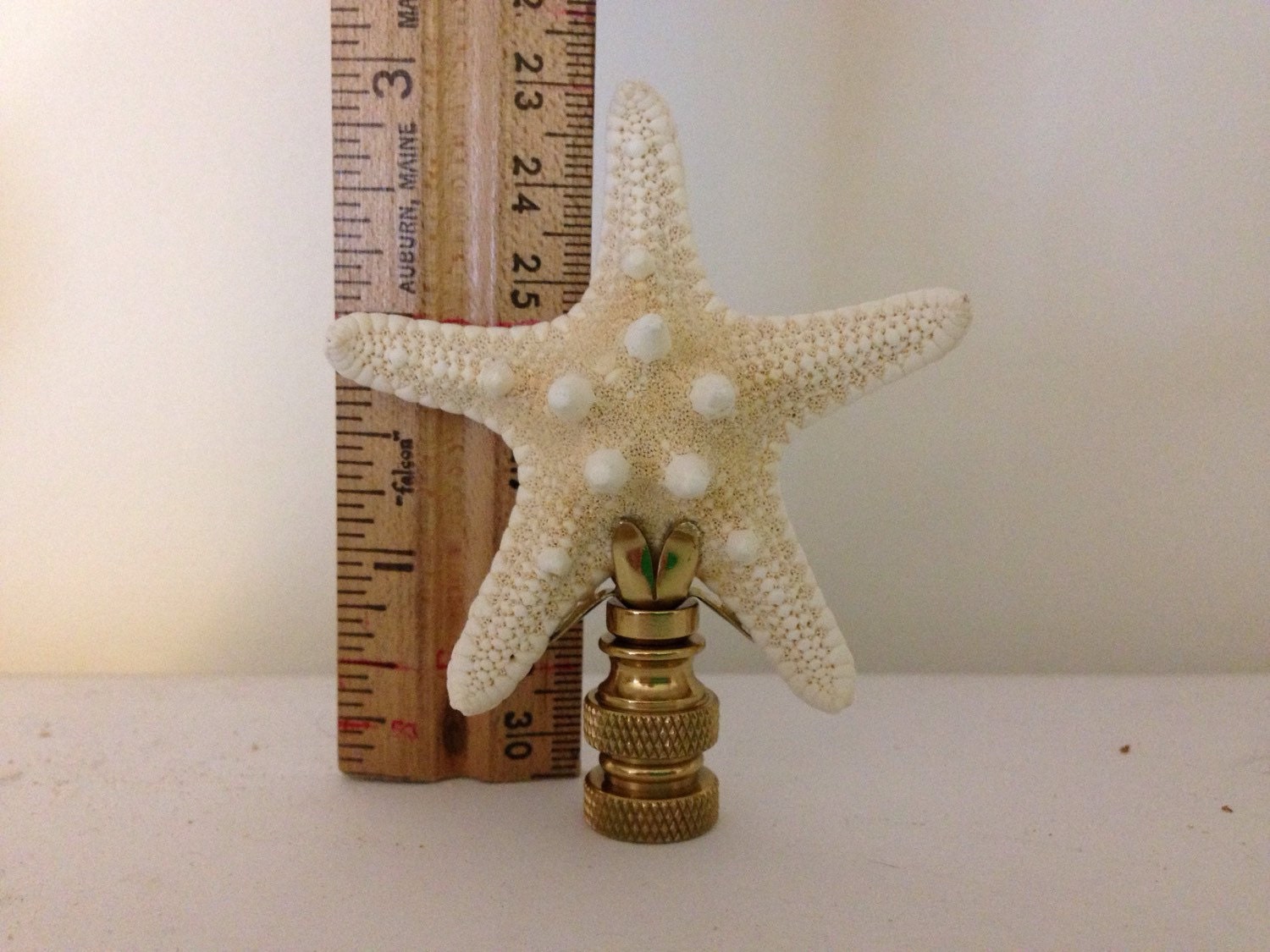 Knobby Starfish Lamp Finial Finial Lamp Topper Starfish | Etsy