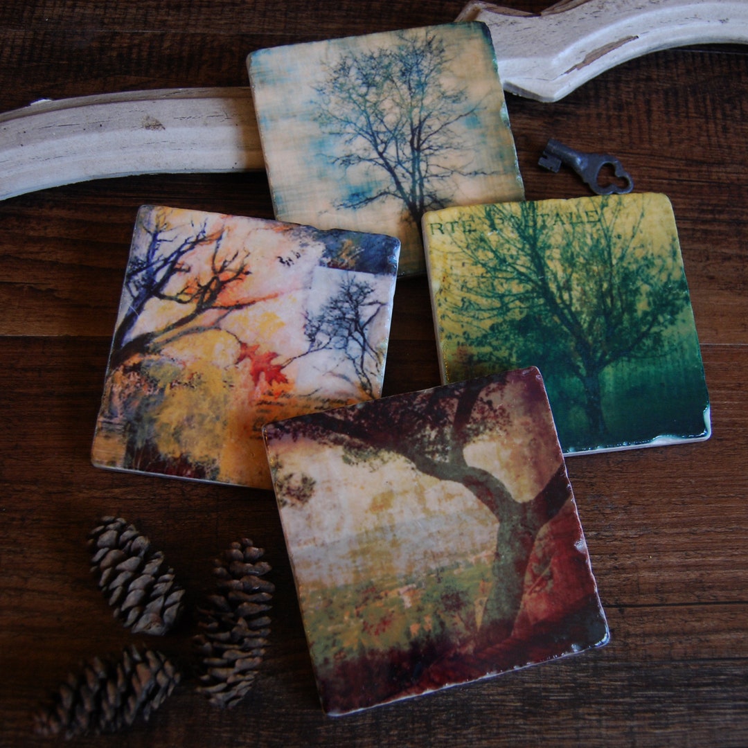 Stone Coasters - Rooted in Time Coaster Set, Tree Gift, Nature Lover ...