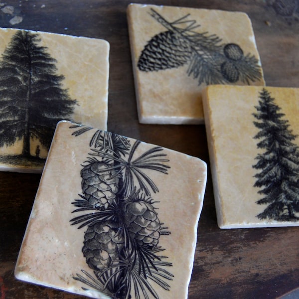 Pine Coasters - Etsy