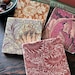 Winter Botanicals Stone Coasters Set of 6 - Etsy