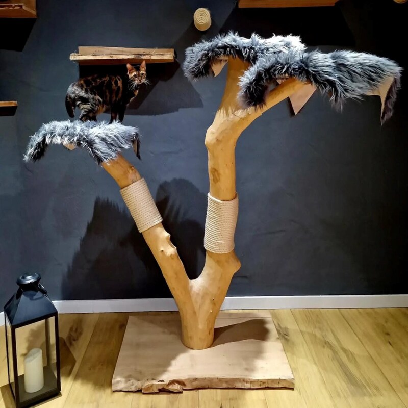 Natural Branch Cat Tree - Etsy