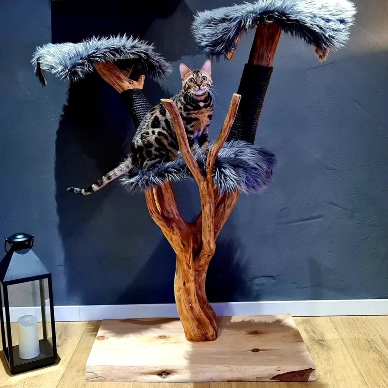 Natural Branch Cat Tree - Etsy