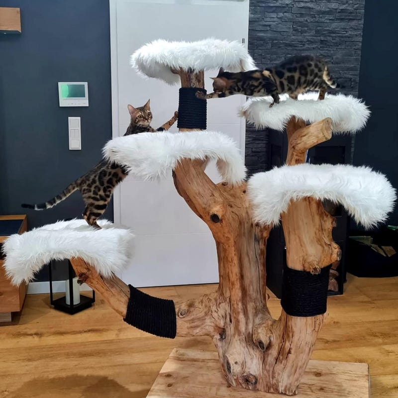 Unique Cat Trees - Etsy