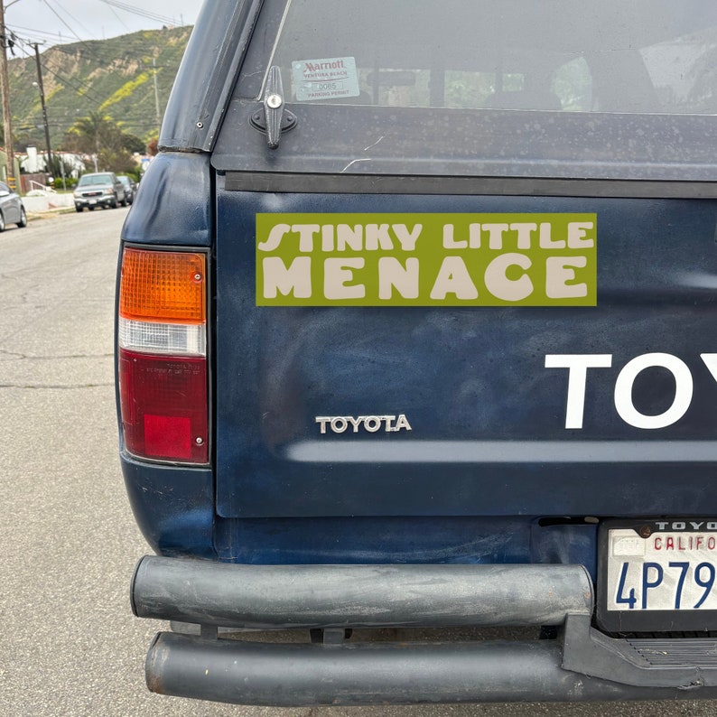 Funny Dirtbag Bumper Sticker Vanlife Gift for Nomad Unhinged Bumper ...