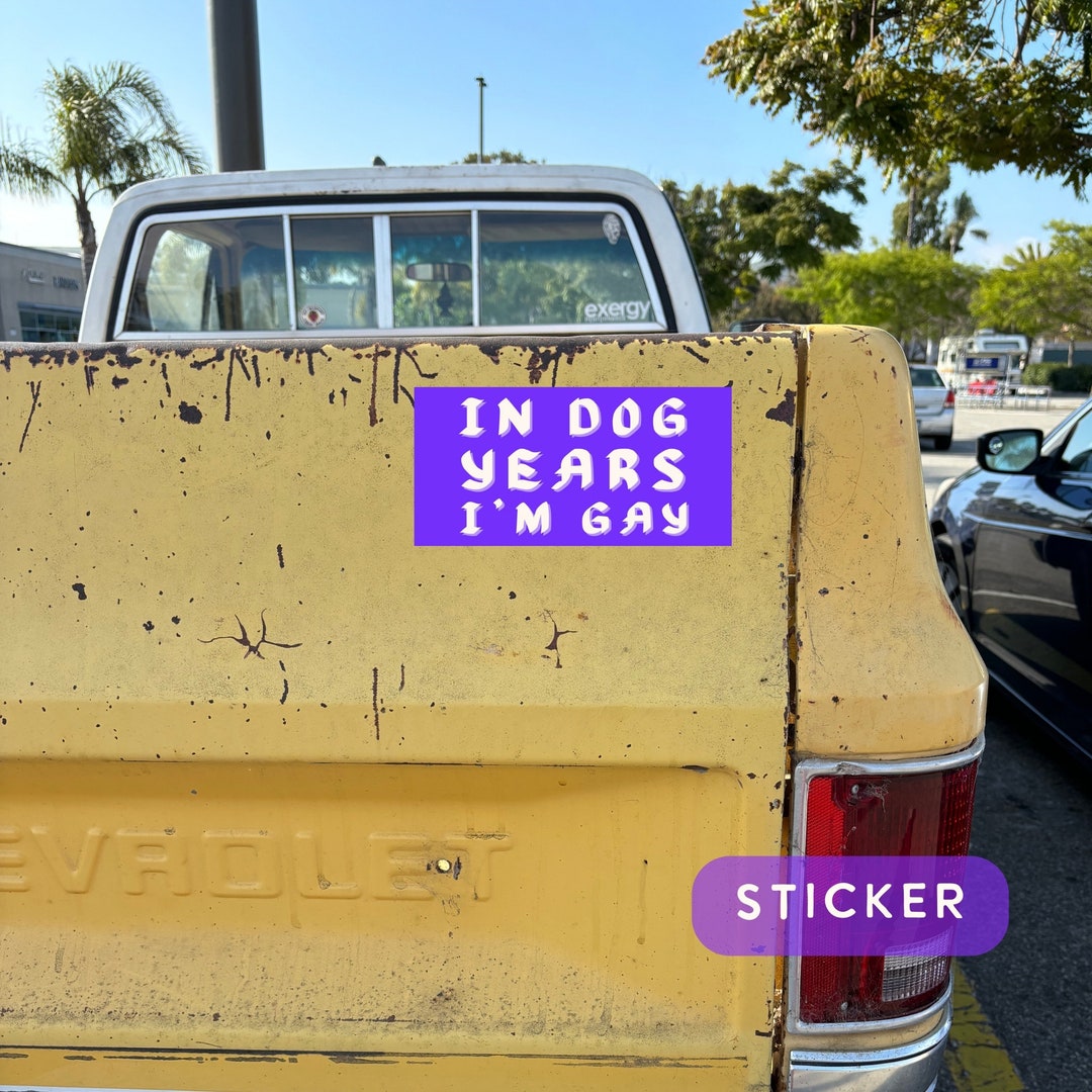 Funny Bumper Sticker for LGBTQ Pride Month Gift for Gay Community ...