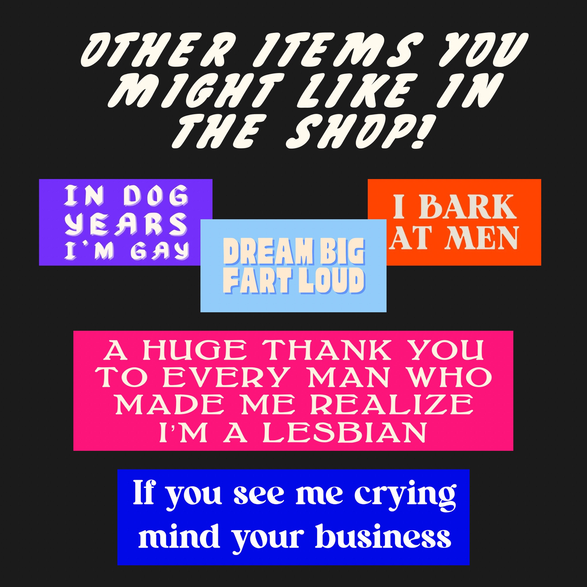 Funny Bumper Sticker for LGBTQ Pride Month Gift for Gay Community ...