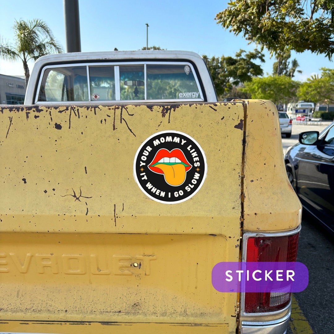 Funny Bumper Sticker for Slow Driver Break Check Bumper Decal Gen Z ...