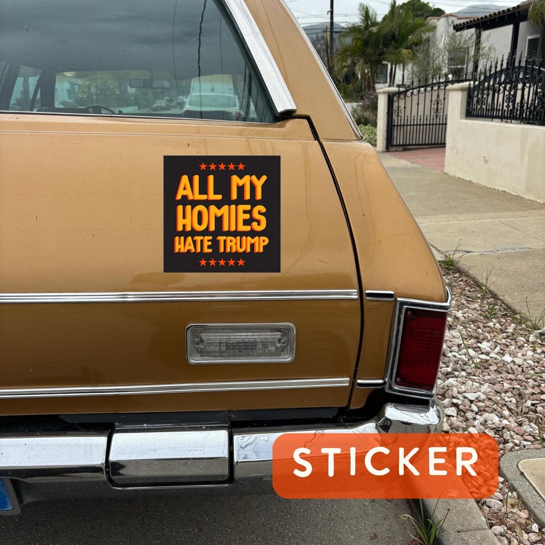 Political Sticker Gift for Activist Bumper Sticker for Liberal Decal ...
