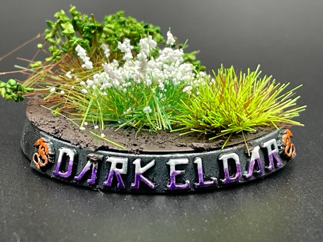 10 X Dark Eldar / Dark Elf Raiders Design Custom Wargaming Miniatures ...