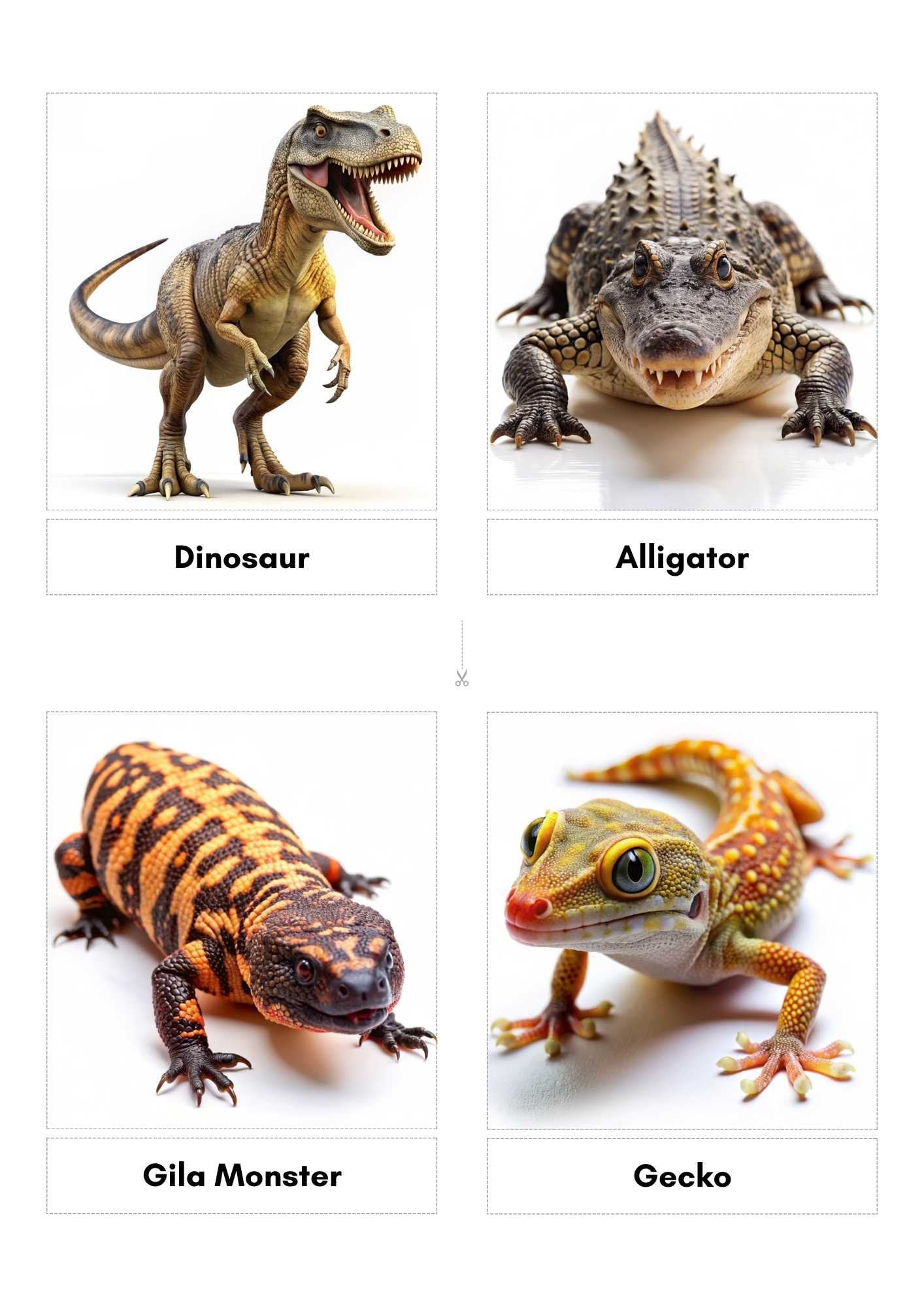 24 Reptiles Flashcards, Educational Printable Cards, Kids Flashcards ...