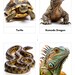 24 Reptiles Flashcards, Educational Printable Cards, Kids Flashcards ...