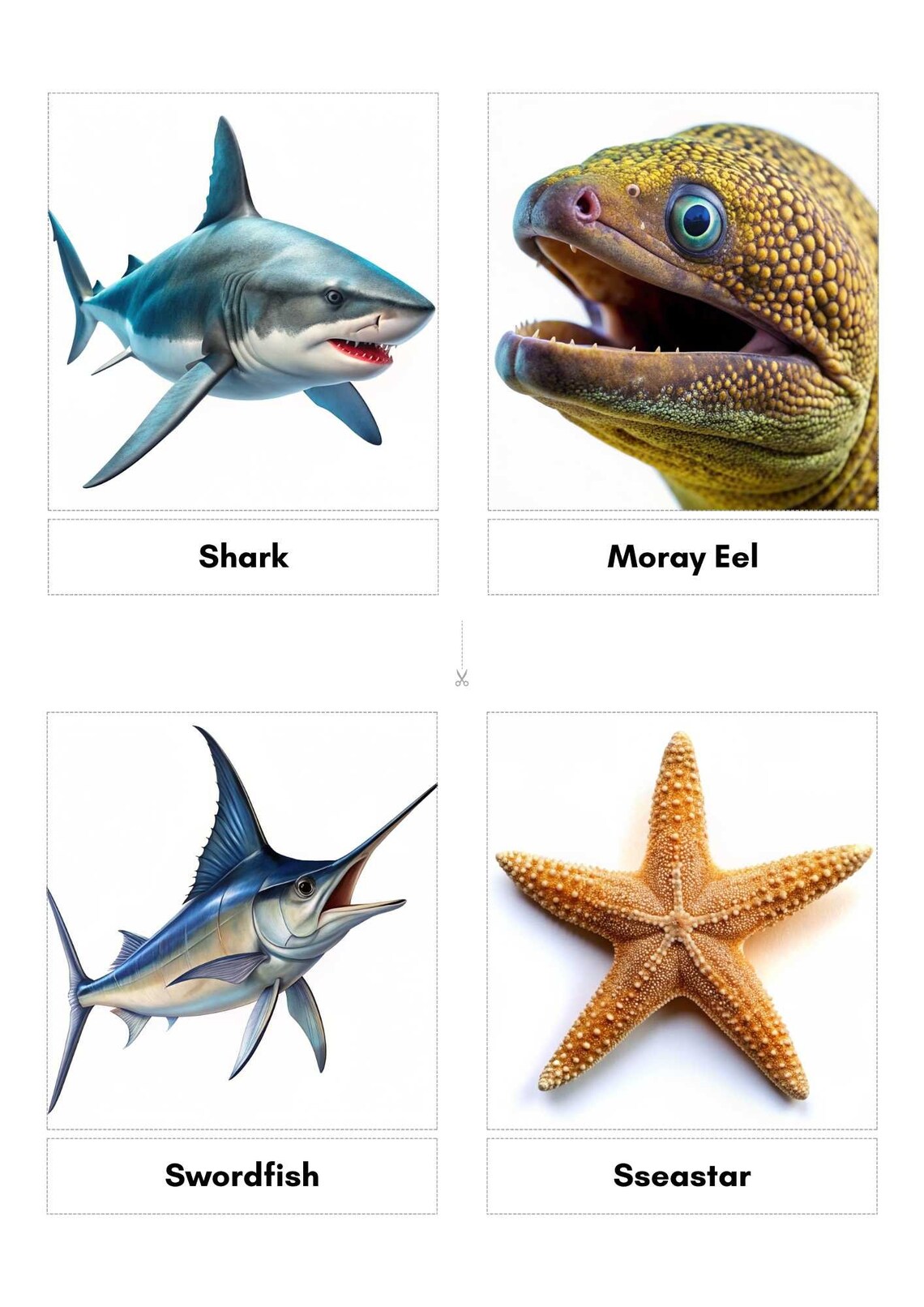 24 Aquatic Animals Flashcards, Educational Printable Cards, Kids ...