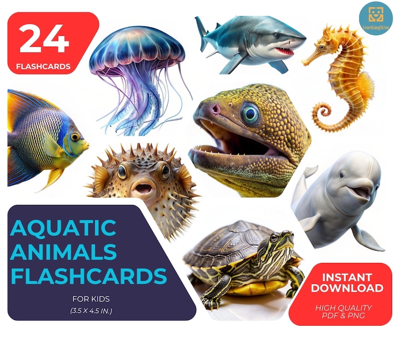 24 Aquatic Animals Flashcards, Educational Printable Cards, Kids ...