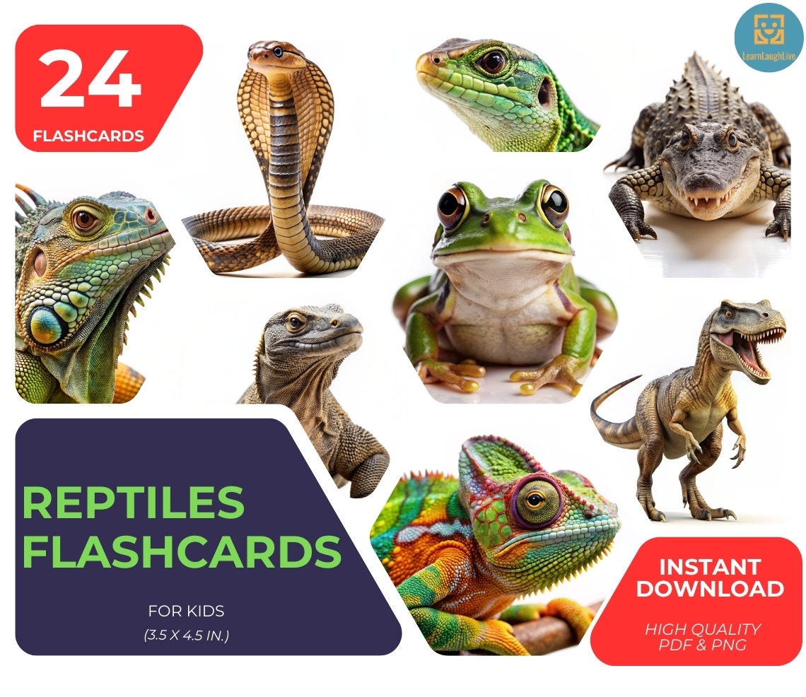 24 Reptiles Flashcards, Educational Printable Cards, Kids Flashcards ...