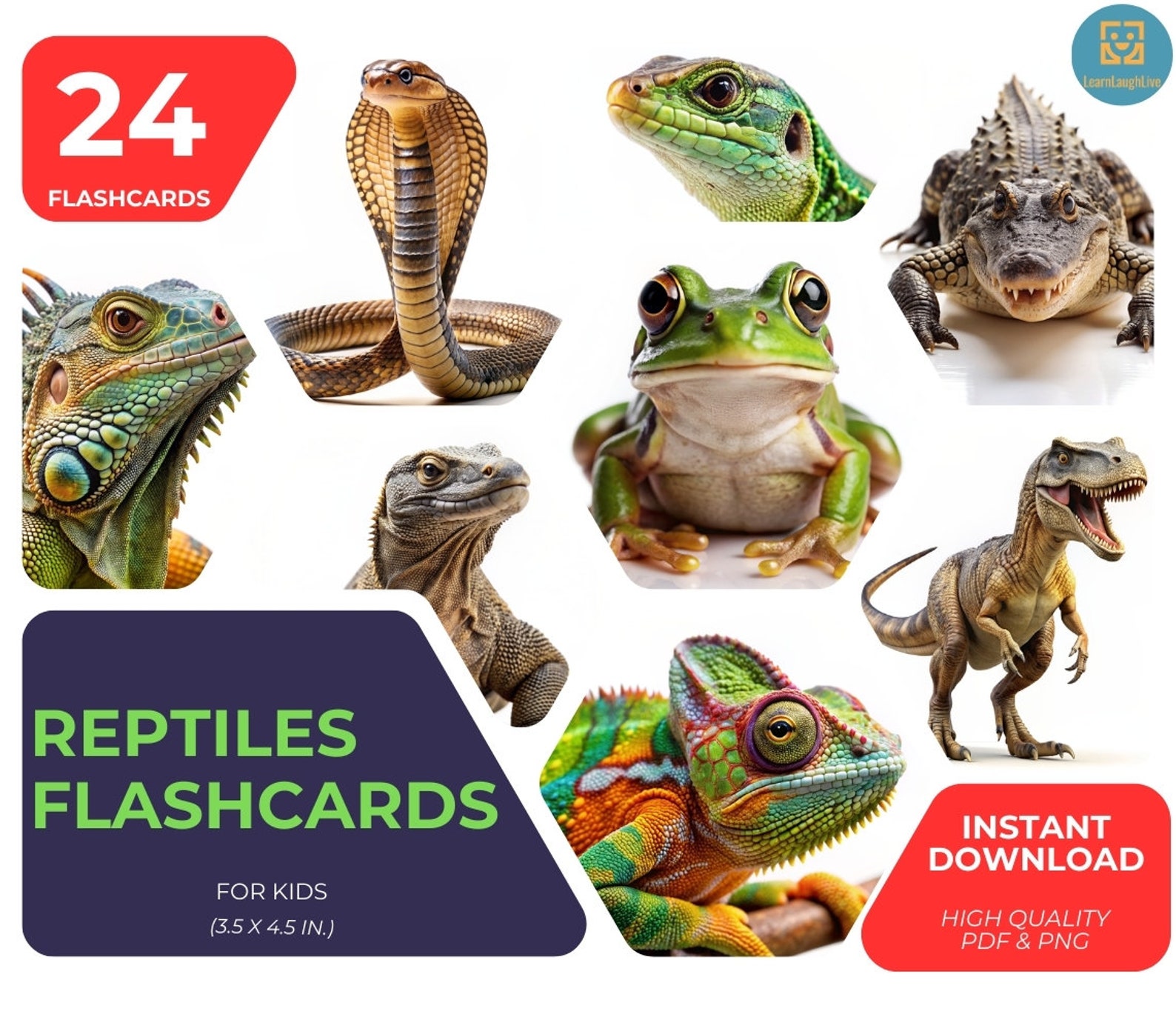 24 Reptiles Flashcards, Educational Printable Cards, Kids Flashcards ...