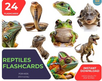24 Insects Flashcards, Educational Printable Cards, Kids Flashcards ...