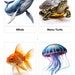 24 Aquatic Animals Flashcards, Educational Printable Cards, Kids ...