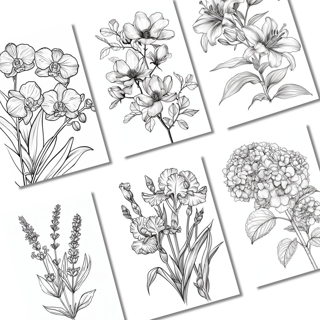 20 Flower Coloring Pages Detailed Line Art of Various Flowers Perfect ...