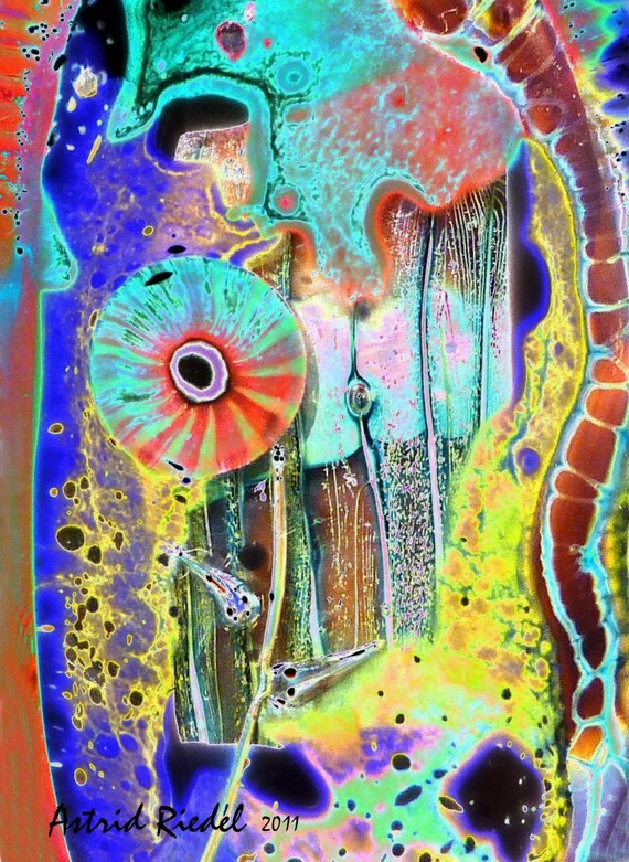 Items similar to Color Infusion- Prints on semi gloss photo paper- A1 ...