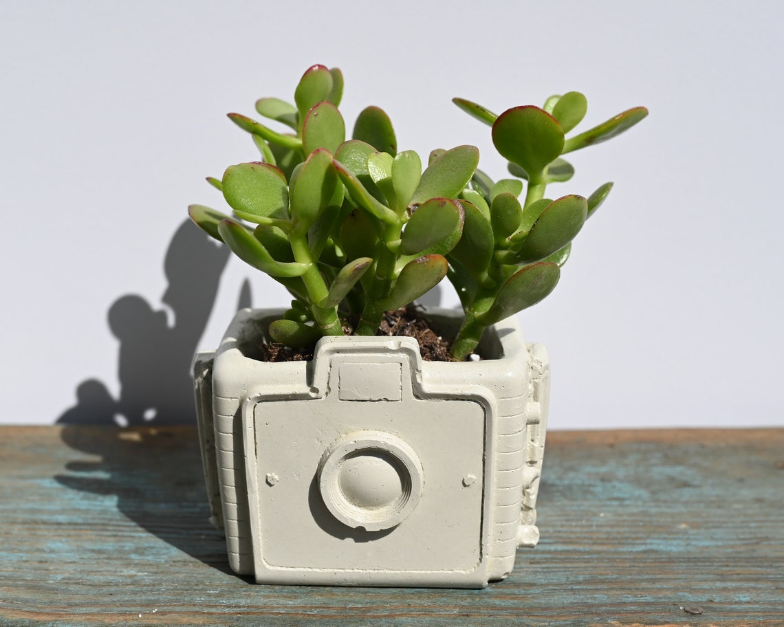 Camera Planter Concrete Camera Planter Camera Succulent - Etsy
