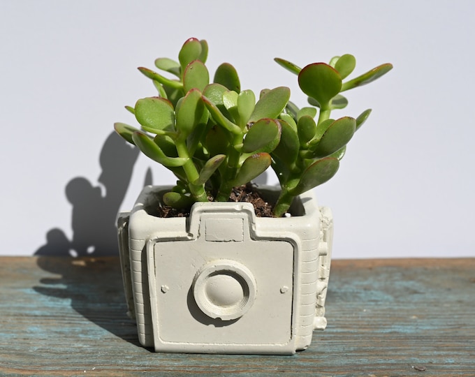 Camera Planter, Concrete Camera Planter, Camera Succulent Planter ...