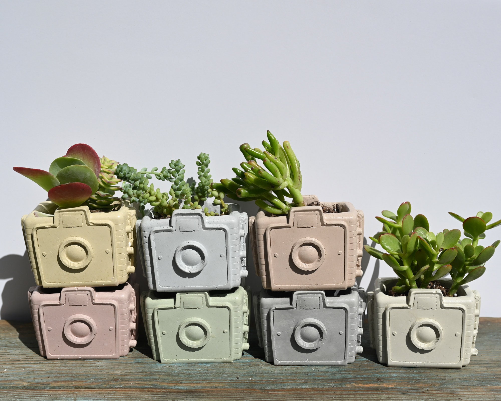 Camera Planter Concrete Camera Planter Camera Succulent - Etsy